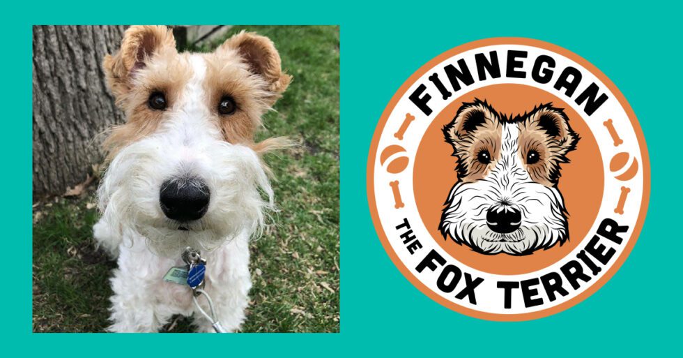 The Categories of Logos - Cyan Bold Design